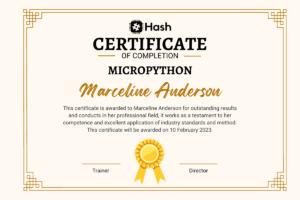 Best Micropython Training in Hyderabad | #1 Online Institute